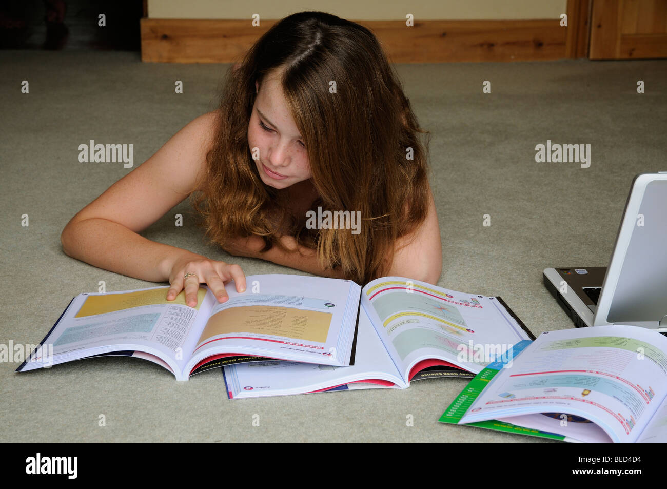 Teenager girl revising for GCSE exams student studying at home Stock ...