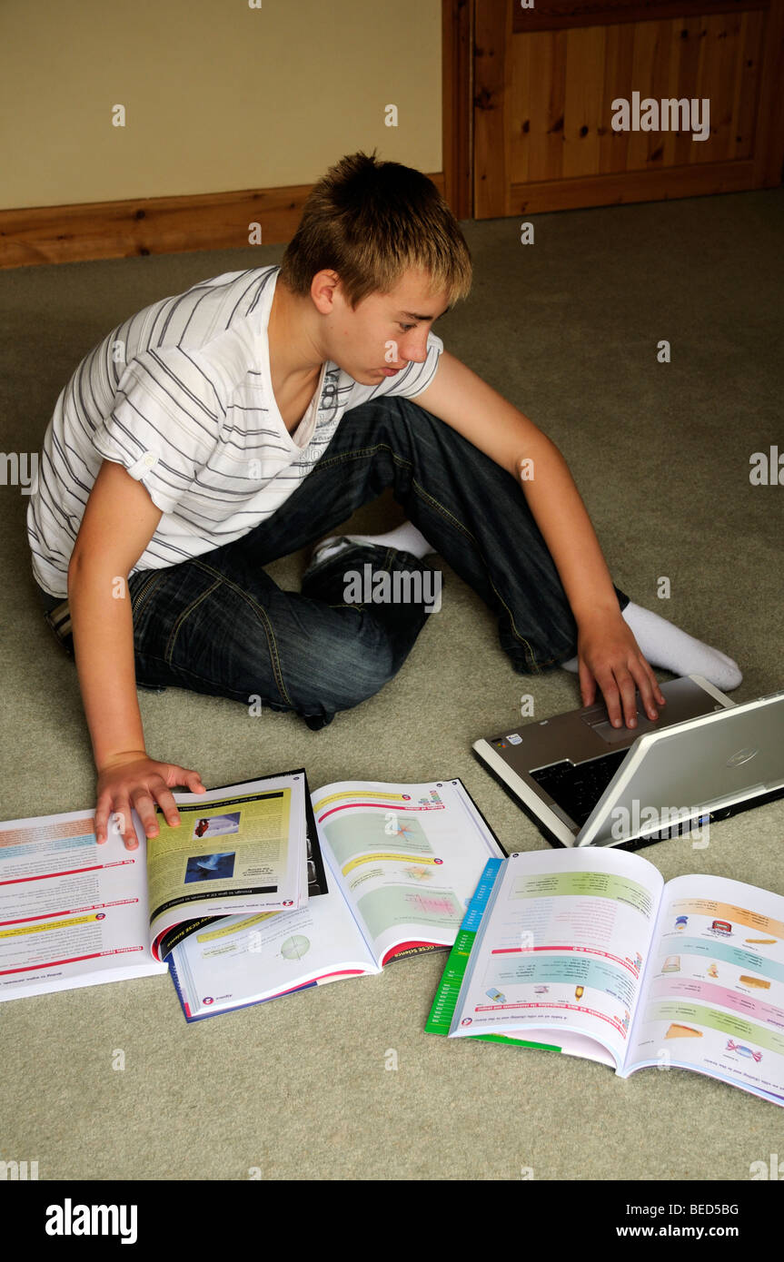 Teenager boy revising for GCSE exams student studying at home Stock ...