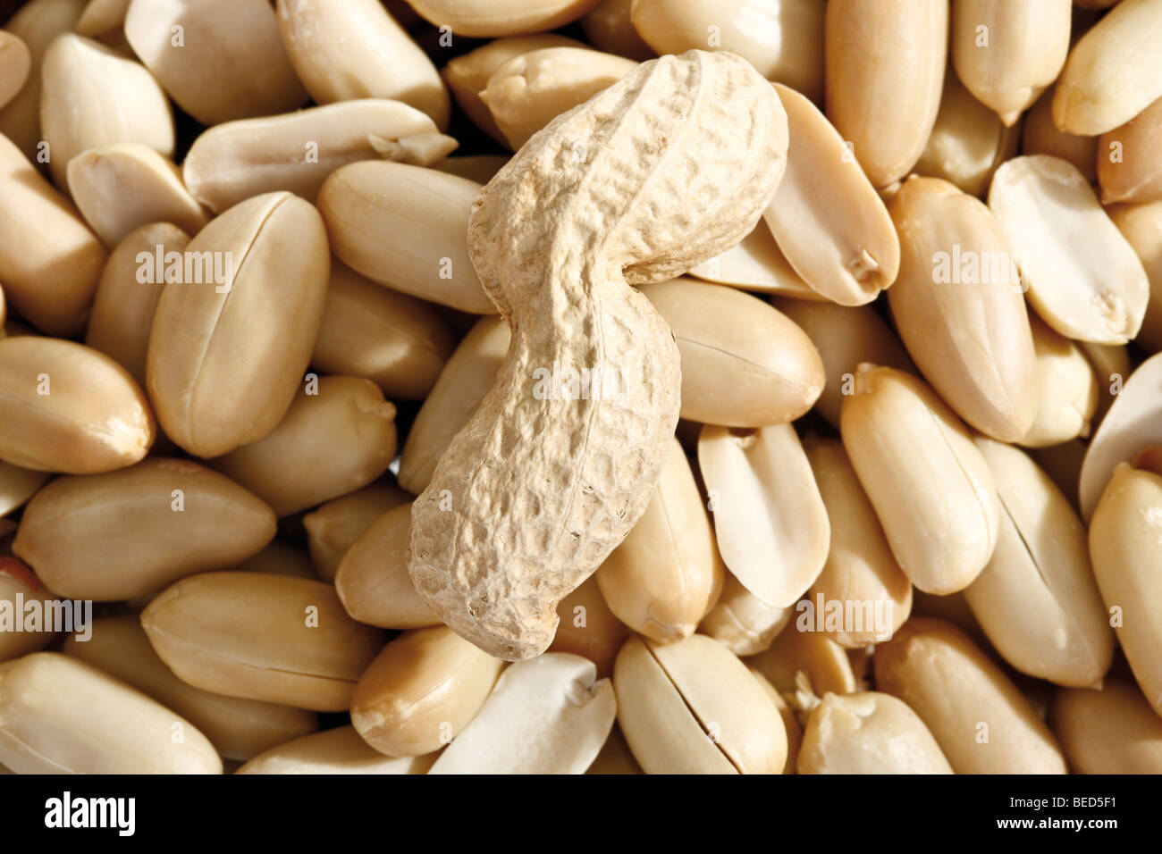 Peanuts, full format Stock Photo - Alamy