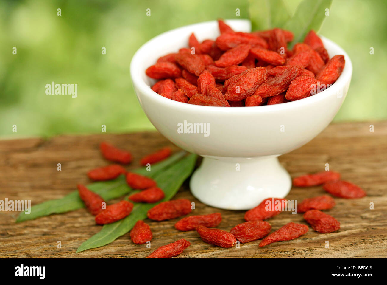 Goji berry harvest hi-res stock photography and images - Alamy