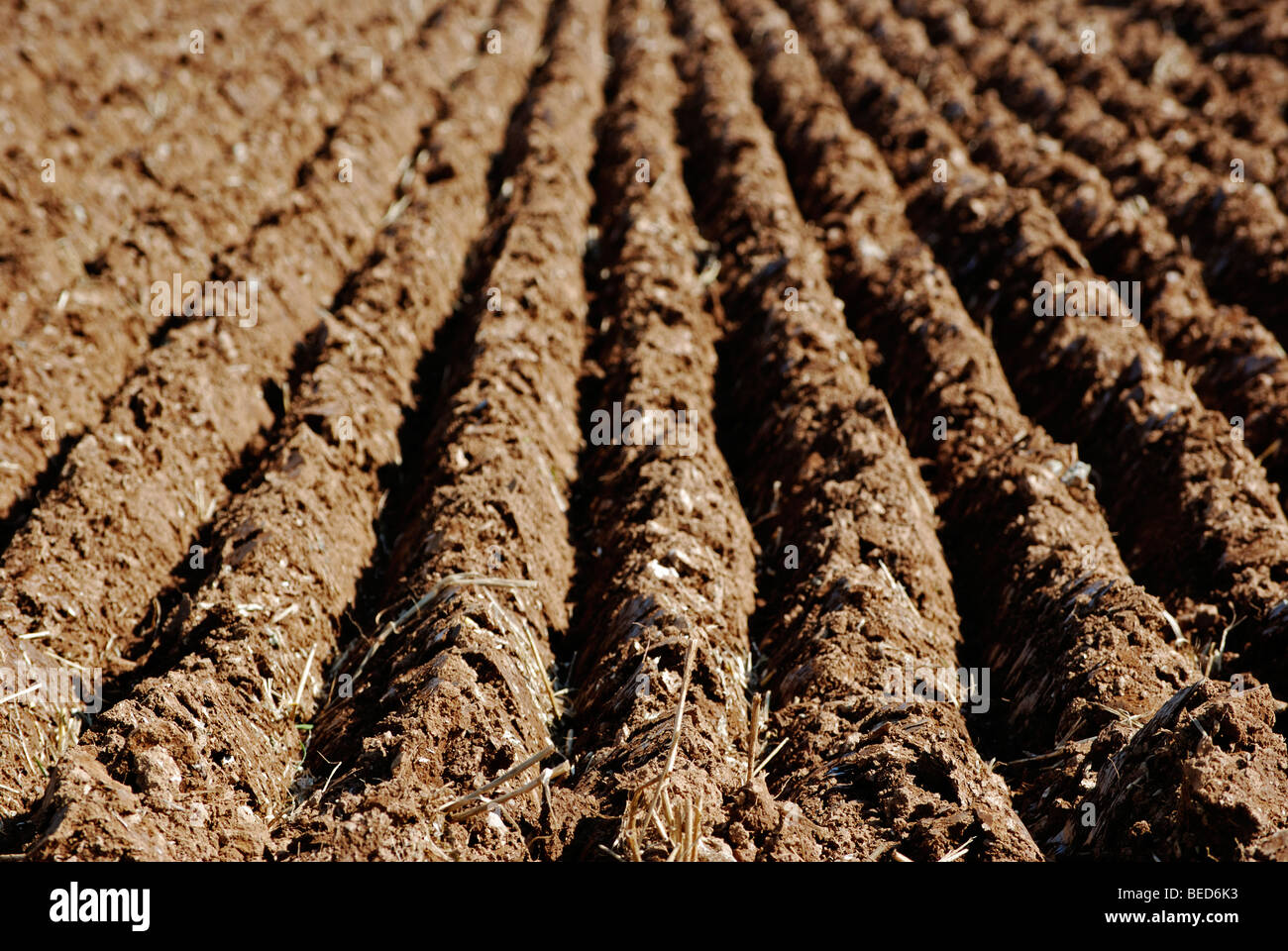 a newly ploughed field in devon, england, uk Stock Photo - Alamy