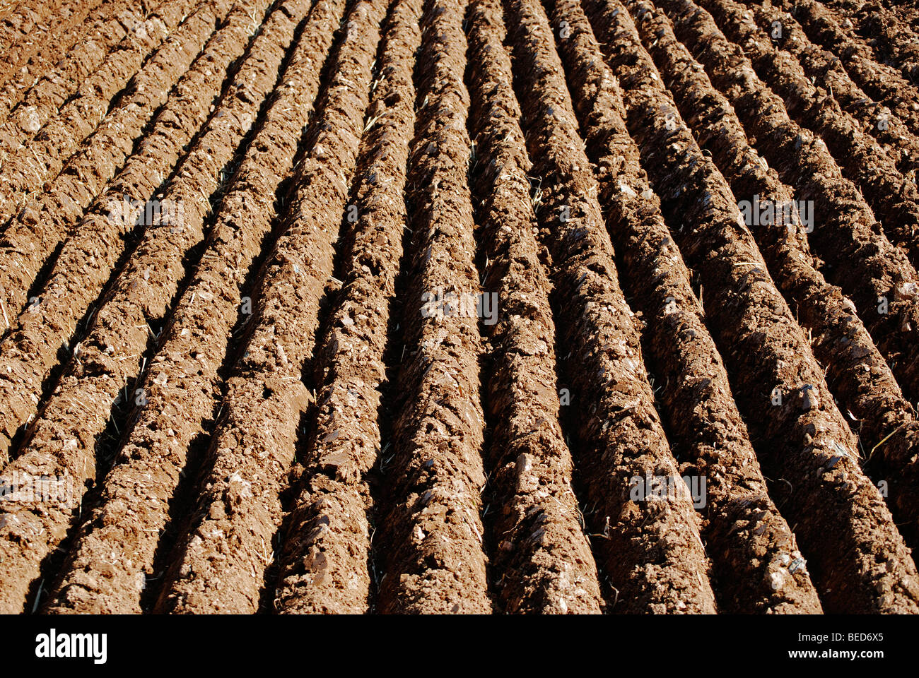 Ploughed field hi-res stock photography and images - Alamy