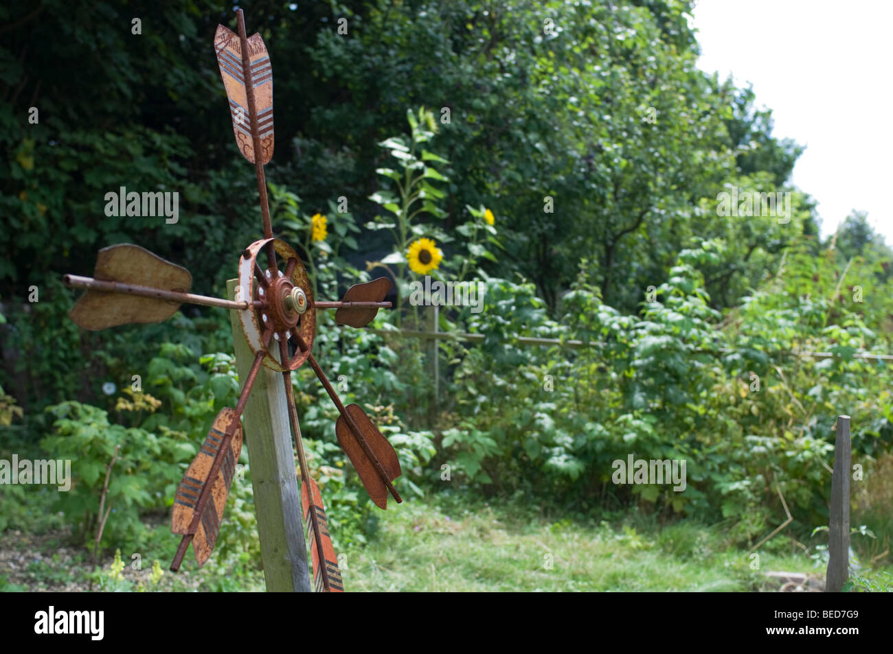 Small metal windmill on an allotment Stock Photo - Alamy