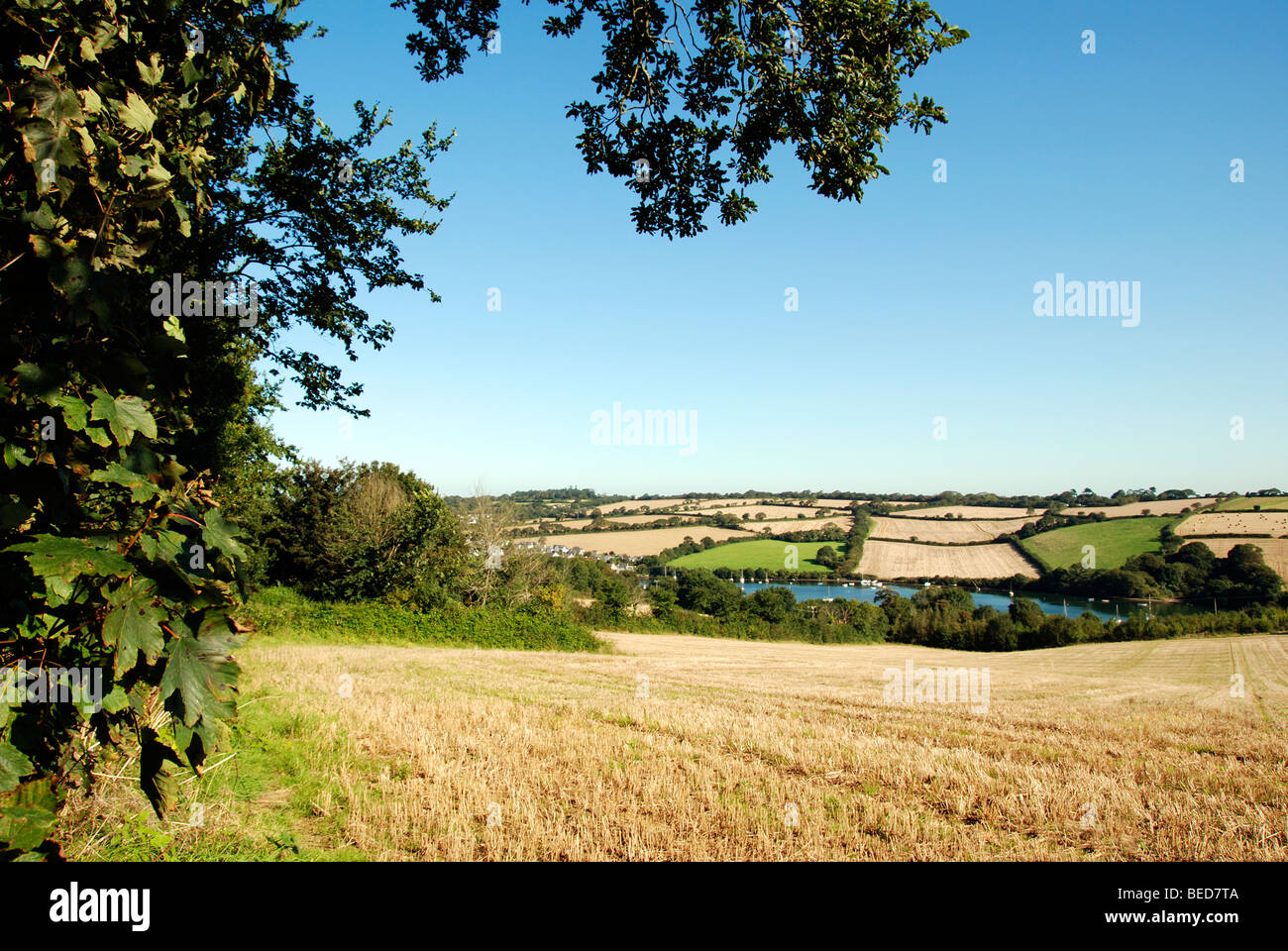 Cornish farming hi-res stock photography and images - Alamy