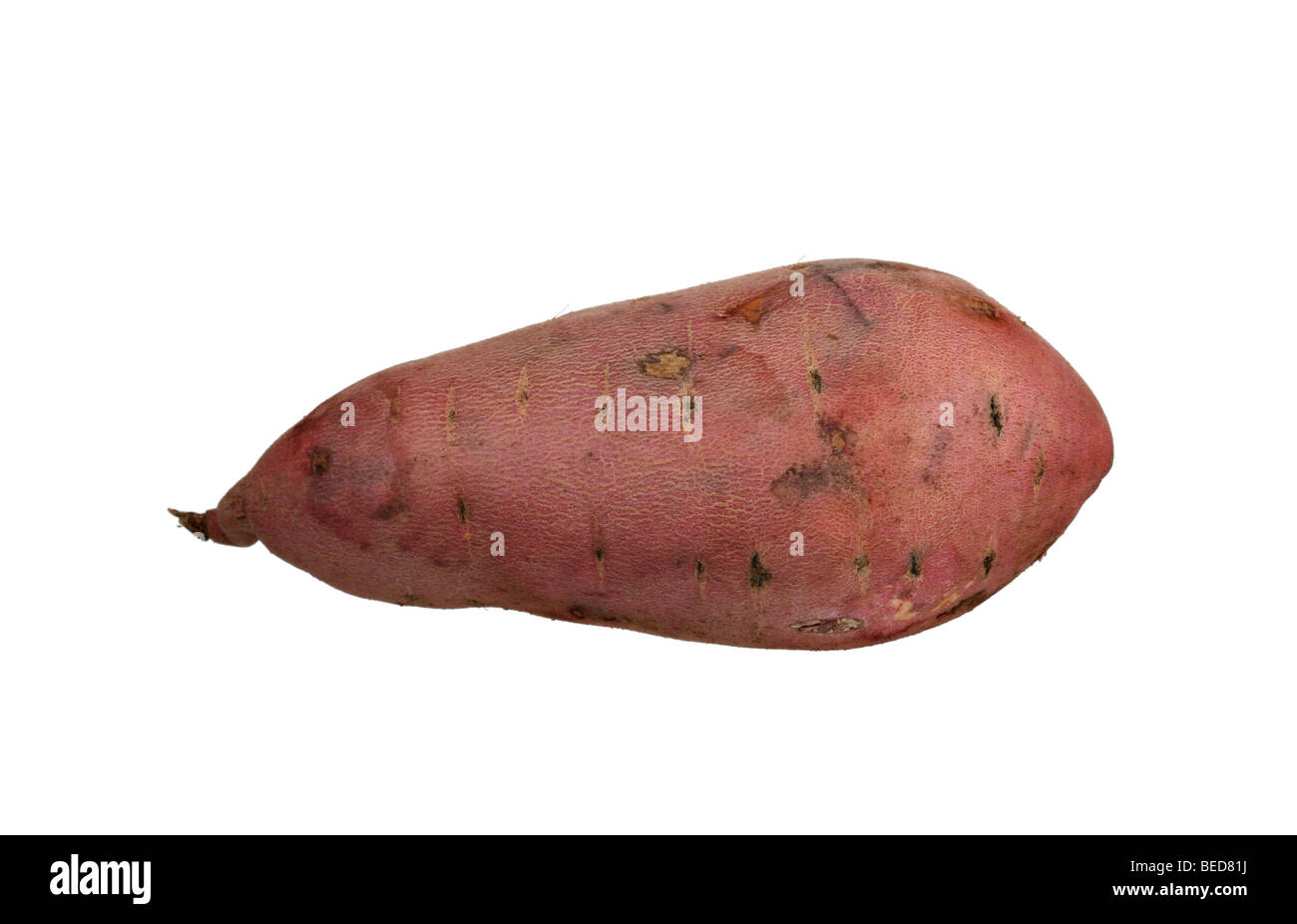Garnet red yam isolated on white background Stock Photo - Alamy