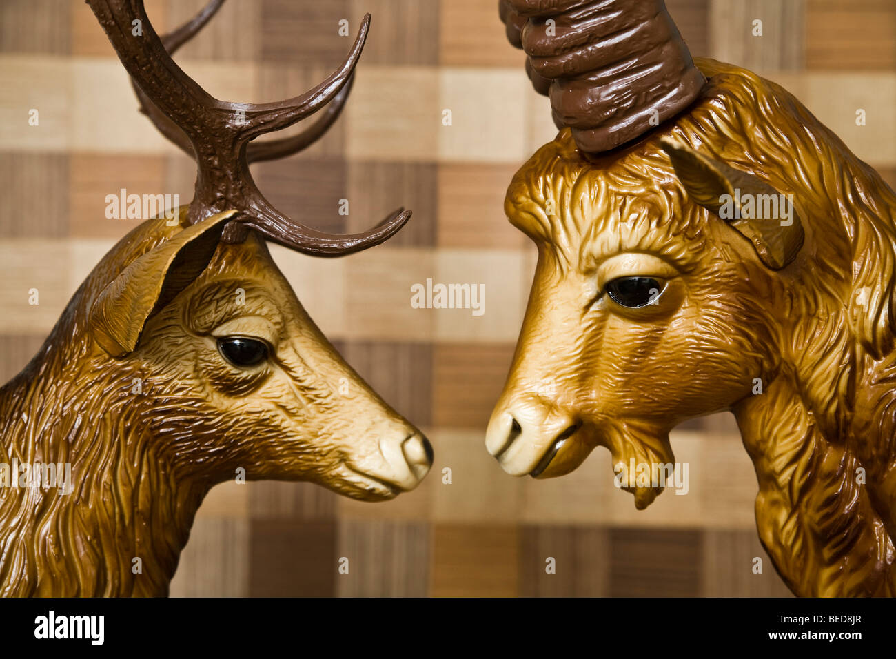 Longingly hi-res stock photography and images - Alamy