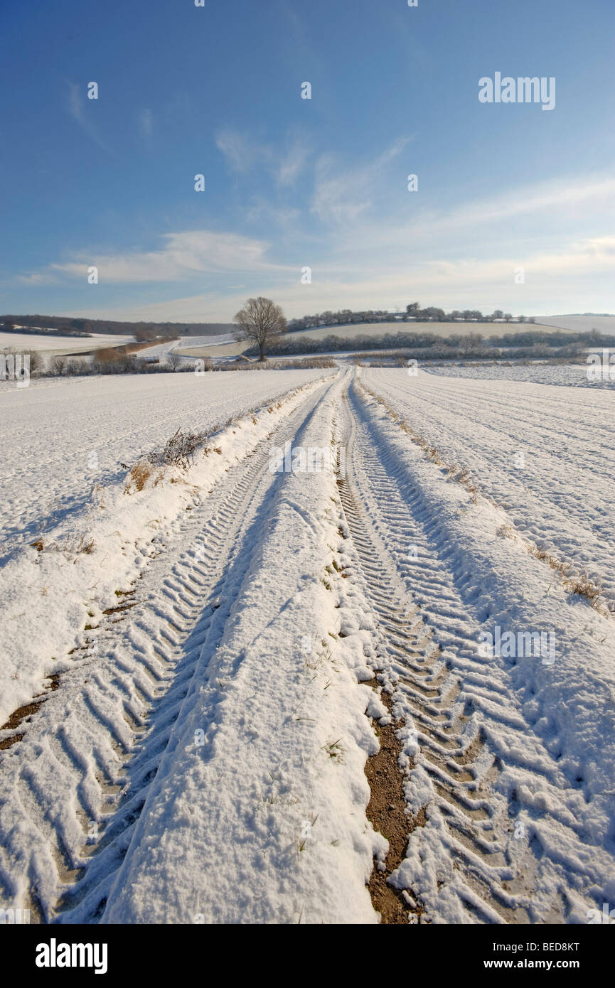 Path paths pathway pathways track tracks hi-res stock photography and ...