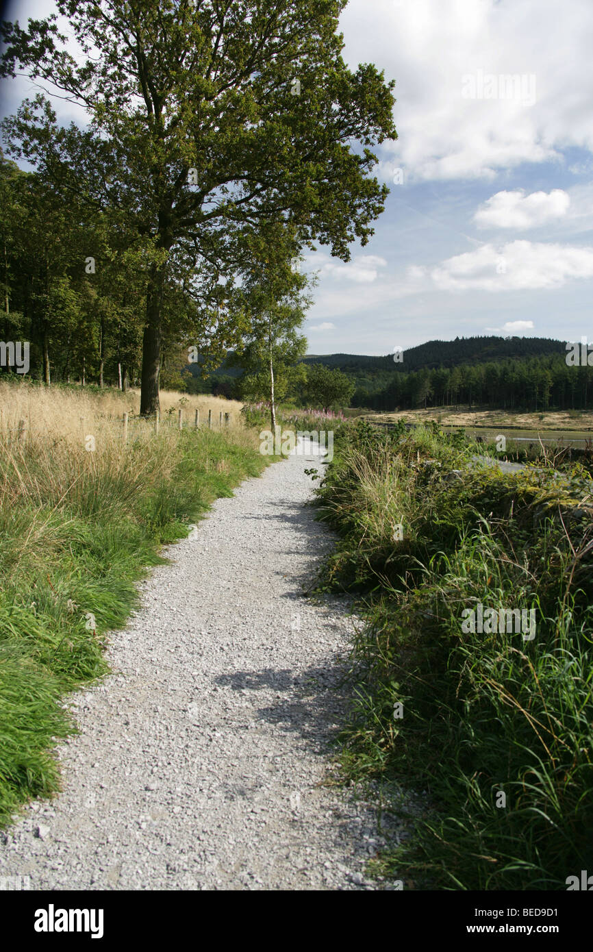 East Cheshire, England. Macclesfield Forest public footpath Stock Photo ...