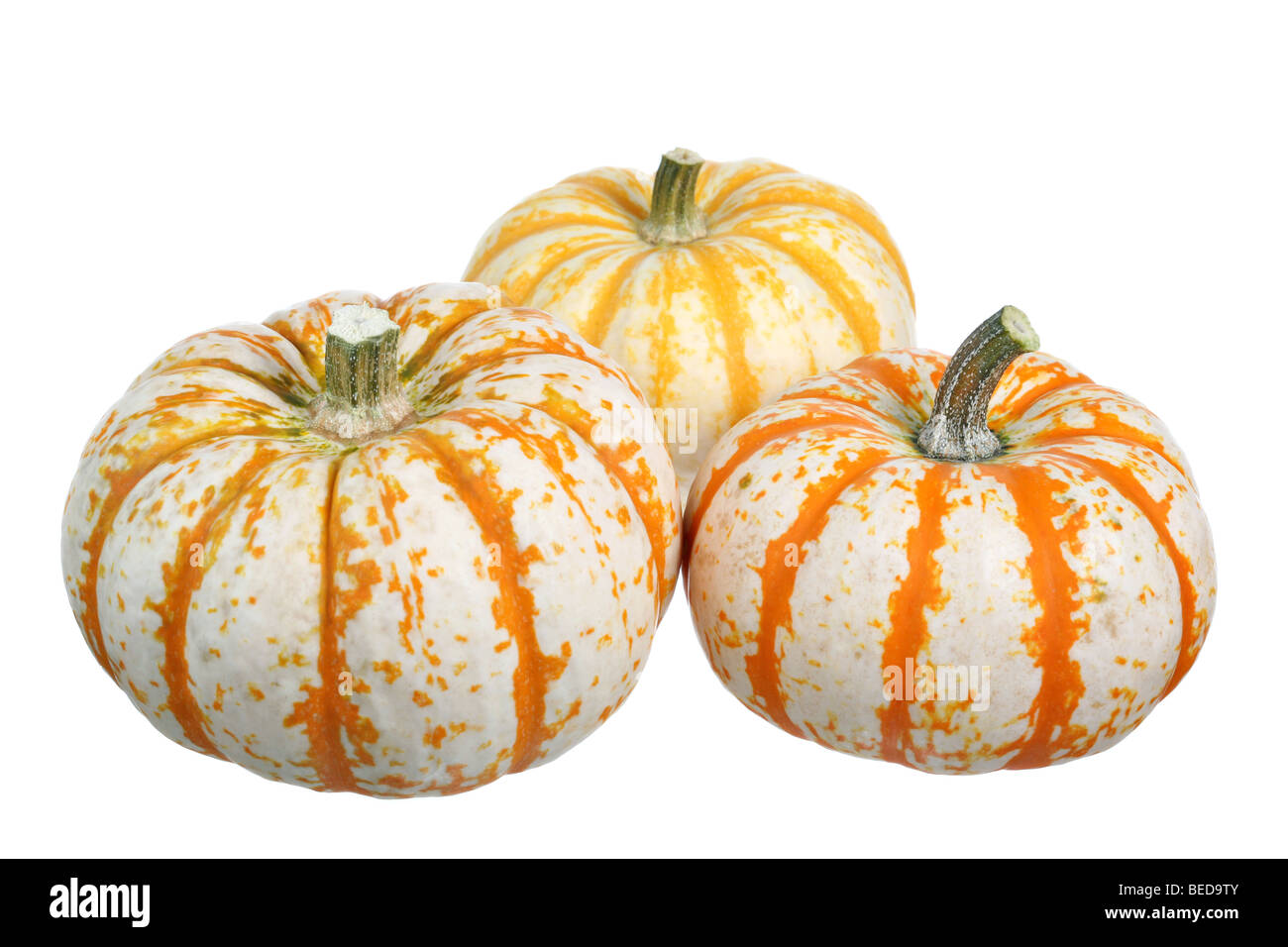 Three pumpkins isolated on hi-res stock photography and images - Alamy