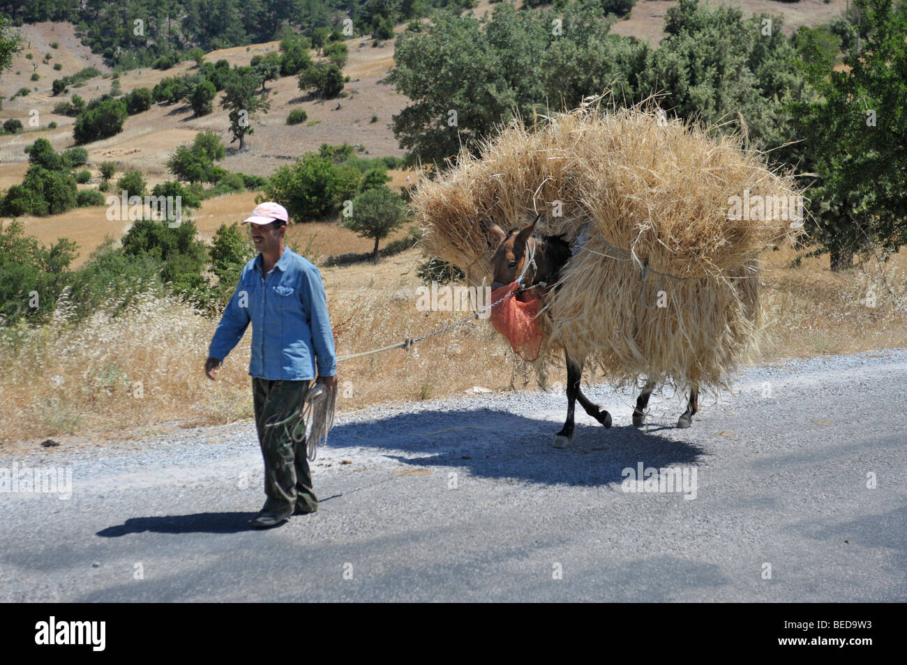 Man walking with donkey hi-res stock photography and images - Alamy