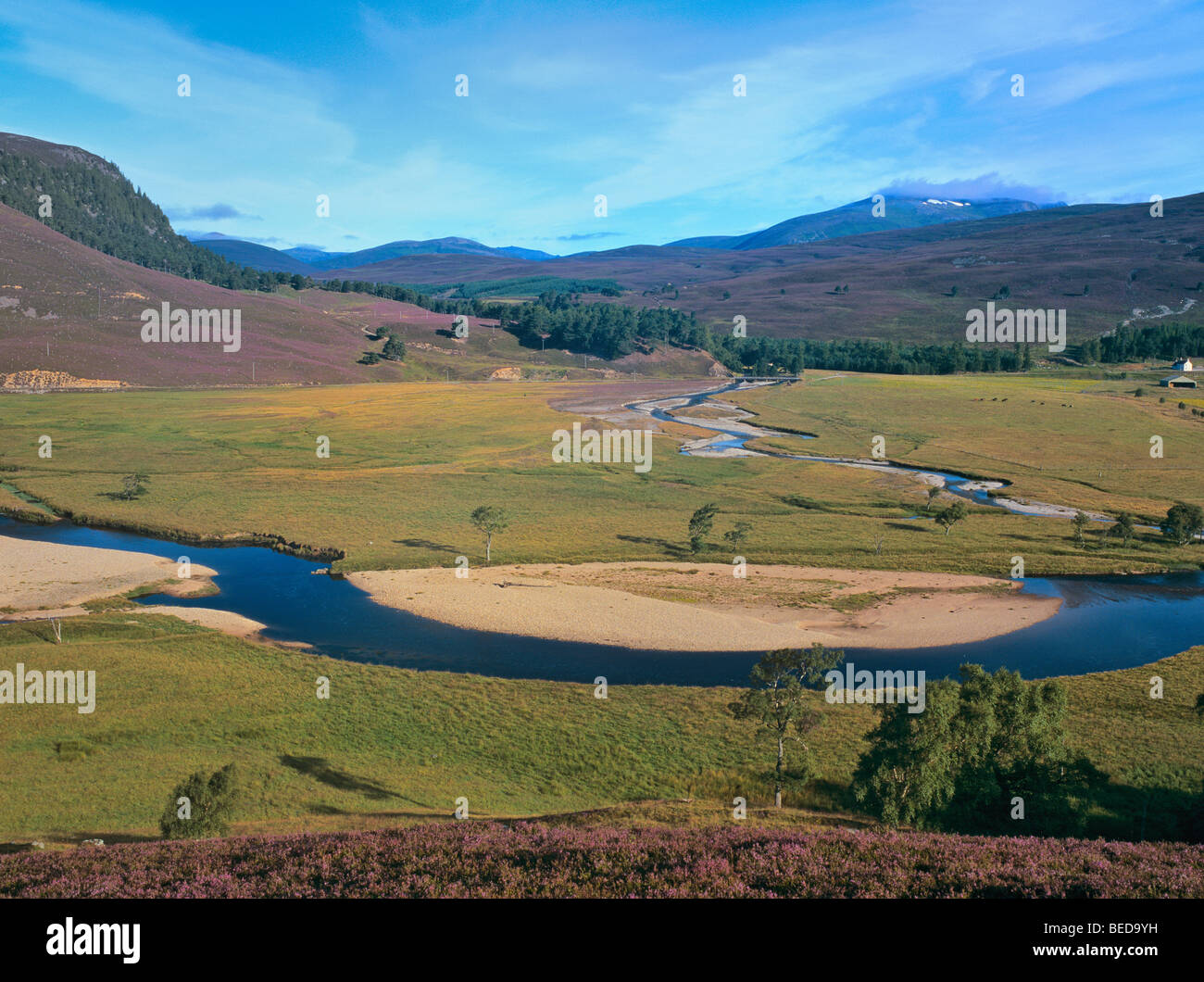 Morning mood at Dee Valley with River Dee, Braemer, Scotland, United ...