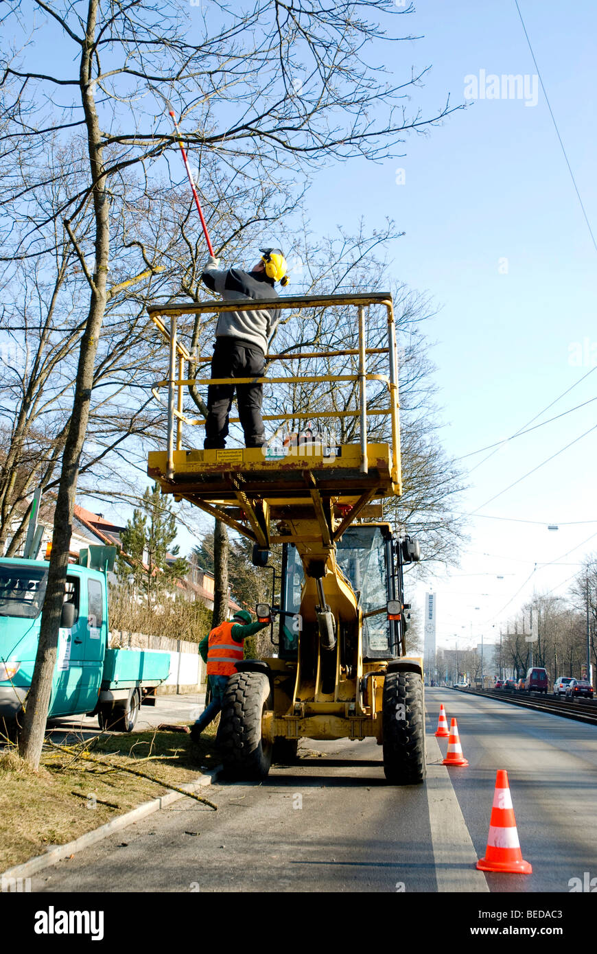 Baumpflege arbeiten hi-res stock photography and images - Alamy
