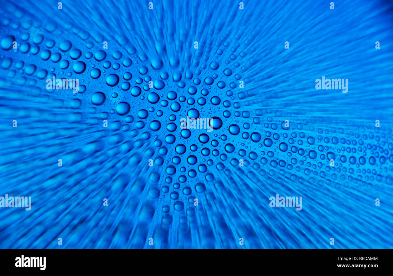 Blue bottle hi-res stock photography and images - Alamy