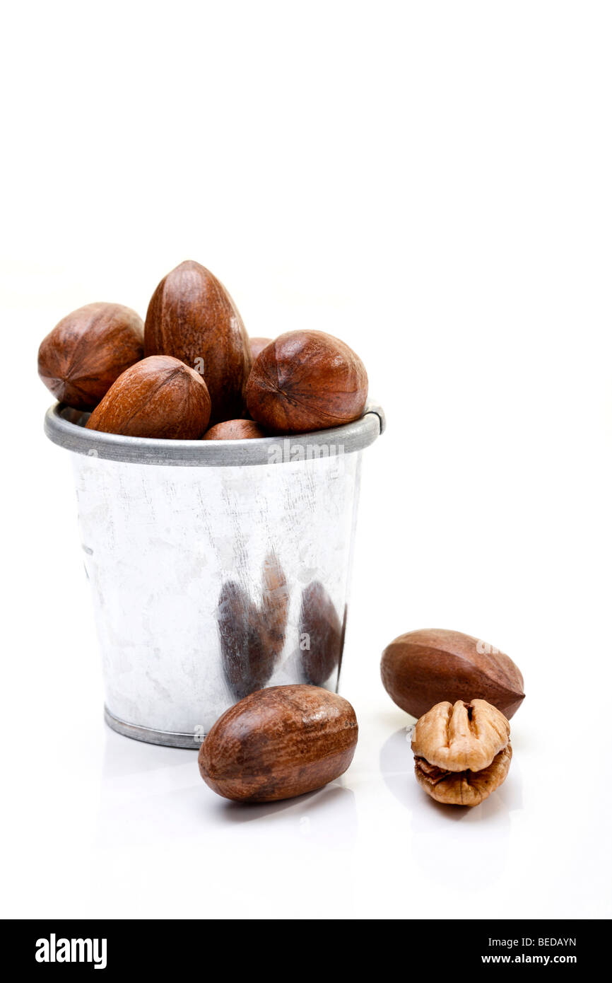 Pekanuesse Cut Out Stock Images & Pictures - Alamy