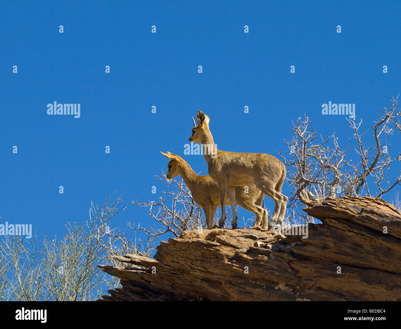 Gamsberg pass namibia hi-res stock photography and images - Alamy