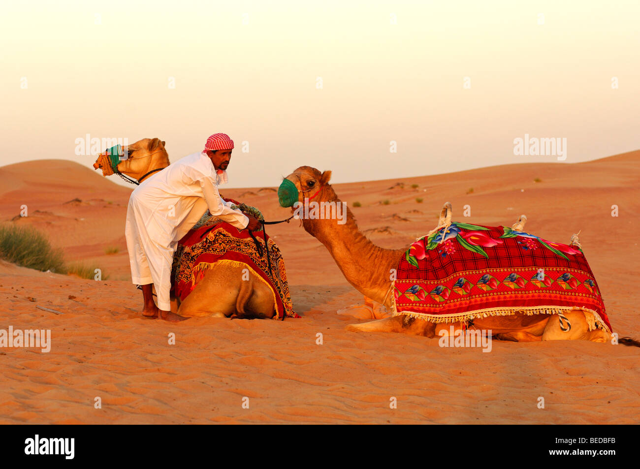 Emirate mann hi-res stock photography and images - Alamy