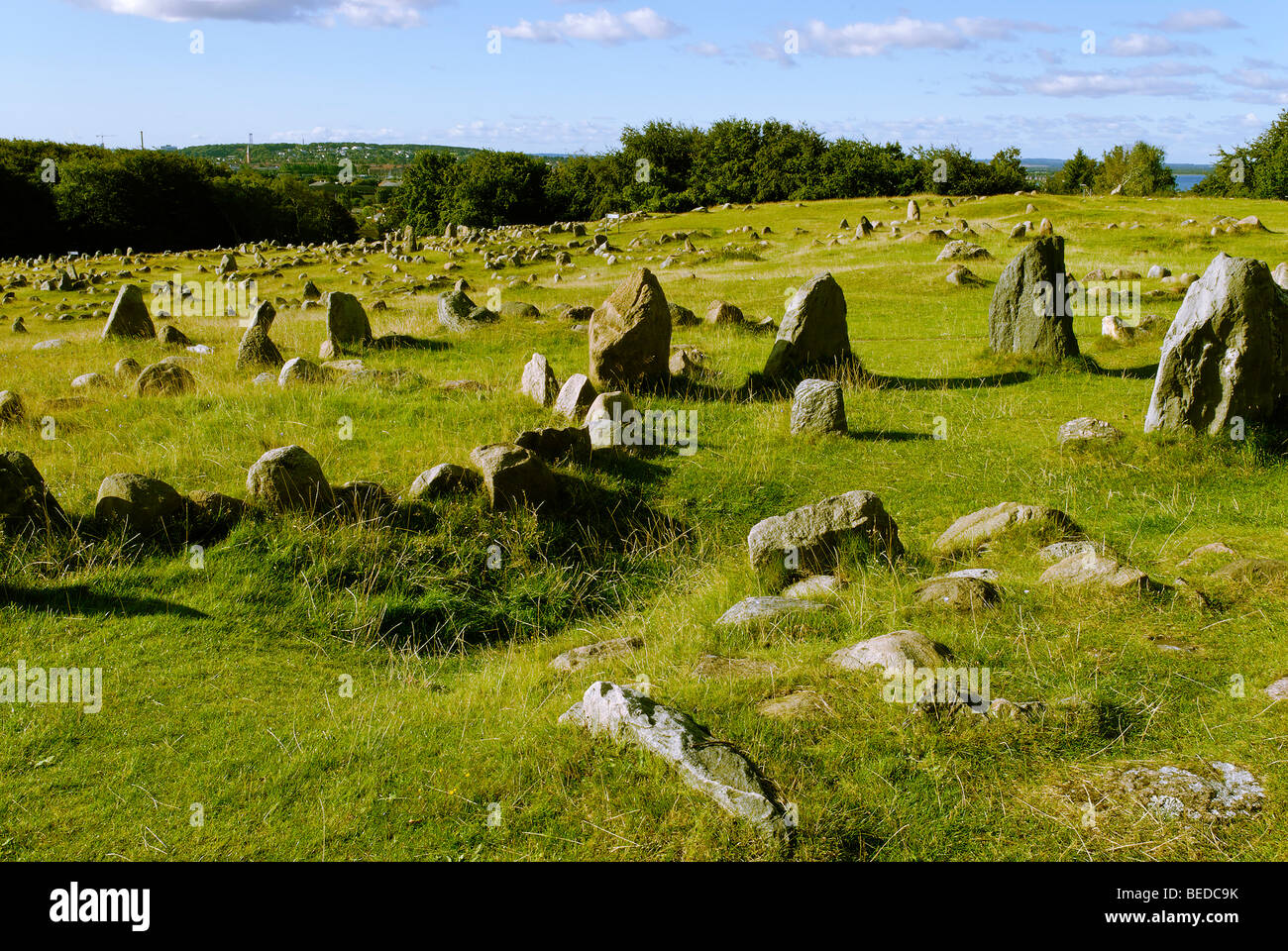 Cemetery from the Iron Age and Viking age Lindholm Hoje near Aalborg ...