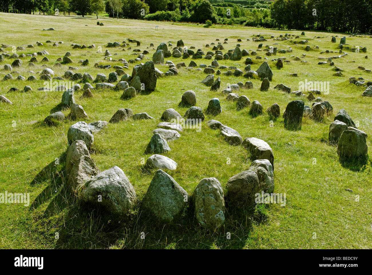 Cemetery from the Iron Age and Viking age Lindholm Hoje near Aalborg ...