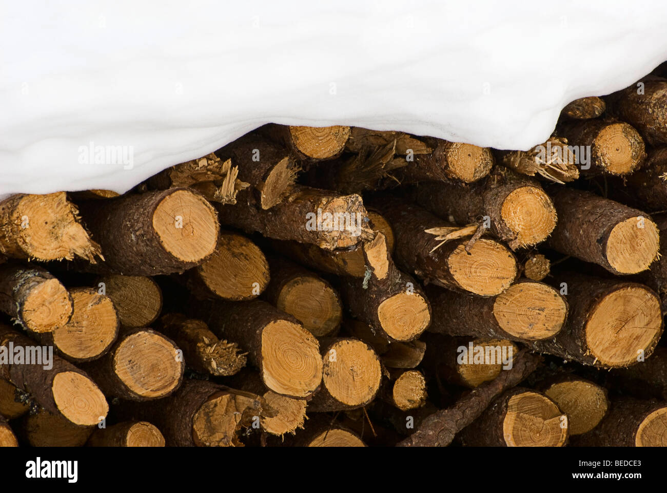 Stack of firewood covered in snow, Graubuenden, Switzerland, Europe ...