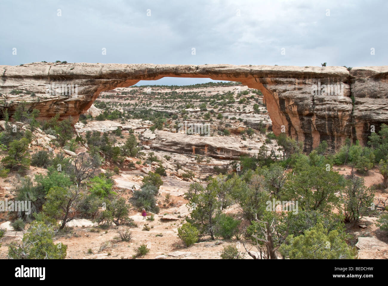 Utah Natural Bridges National Monument Owachomo Bridge Stock Photo - Alamy