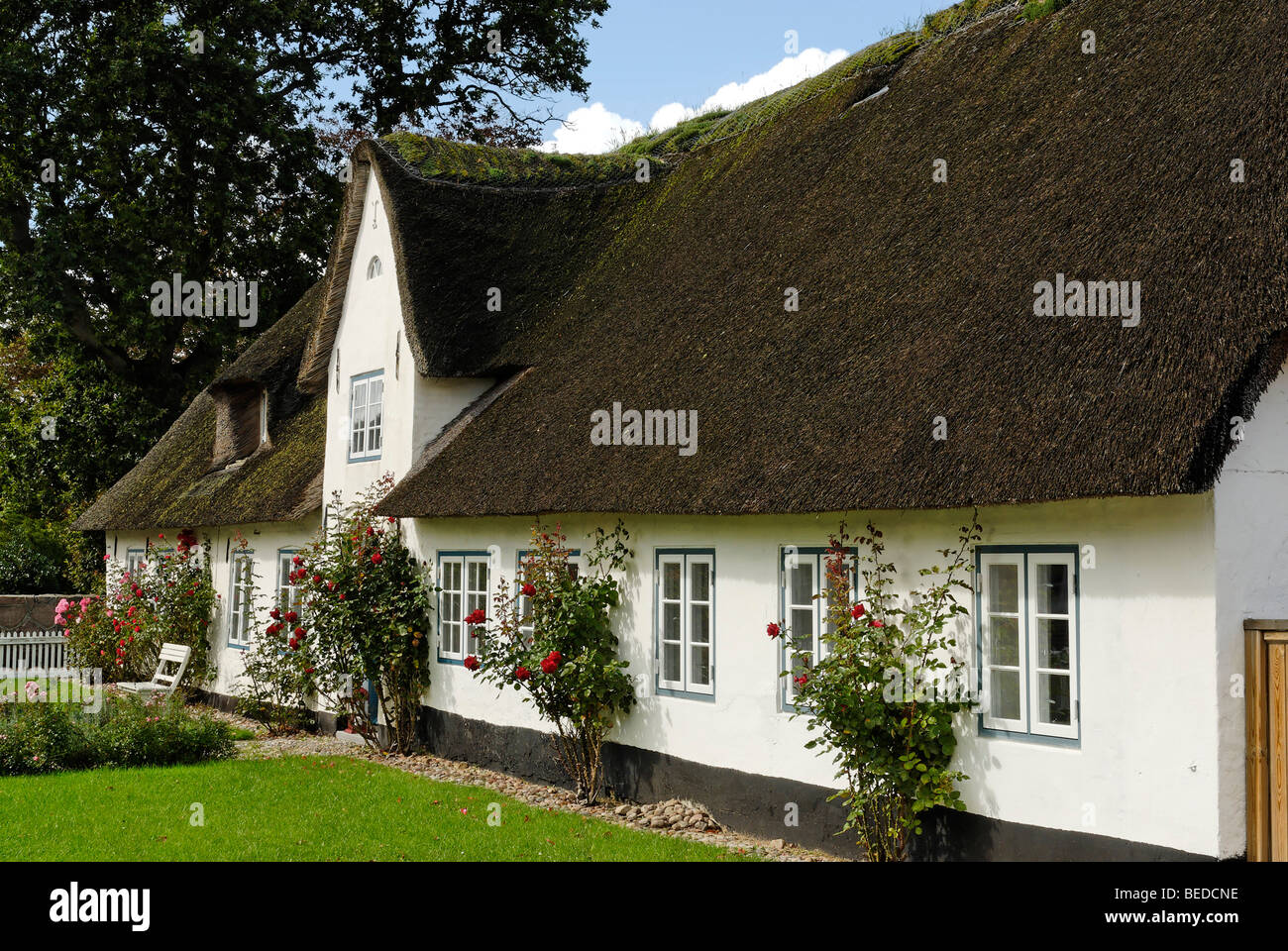 Thatched roof house, Hoejer, Jutland, Denmark, Europe Stock Photo - Alamy