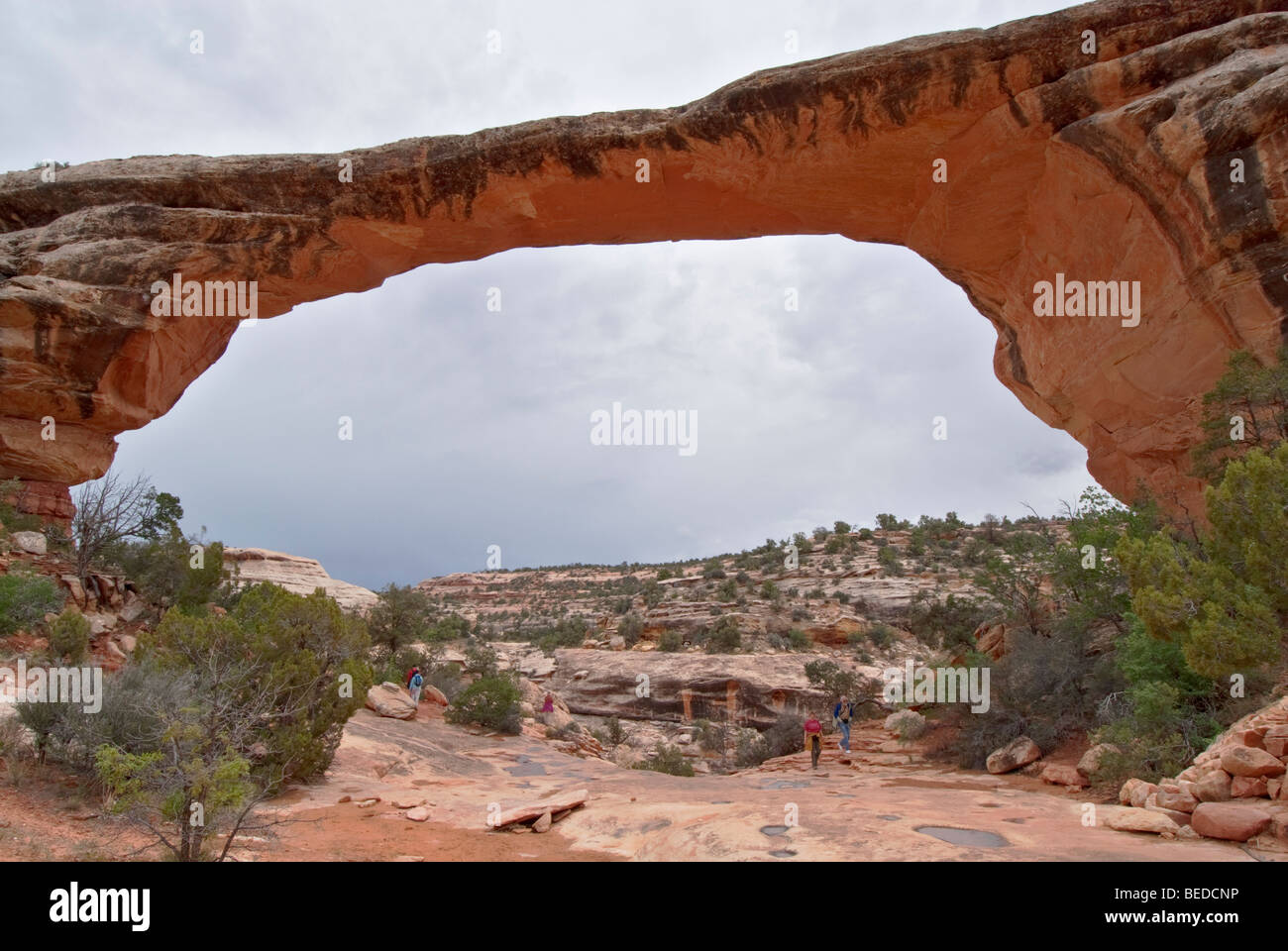 Utah Natural Bridges National Monument Owachomo Bridge Stock Photo - Alamy