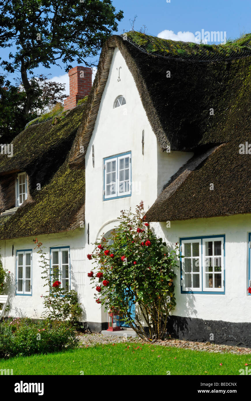 Thatched roof house, Hoejer, Jutland, Denmark, Europe Stock Photo - Alamy