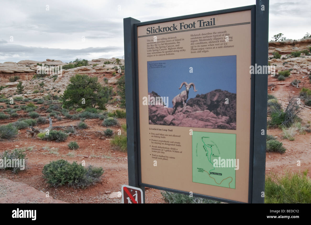 Slickrock foot trail hi-res stock photography and images - Alamy