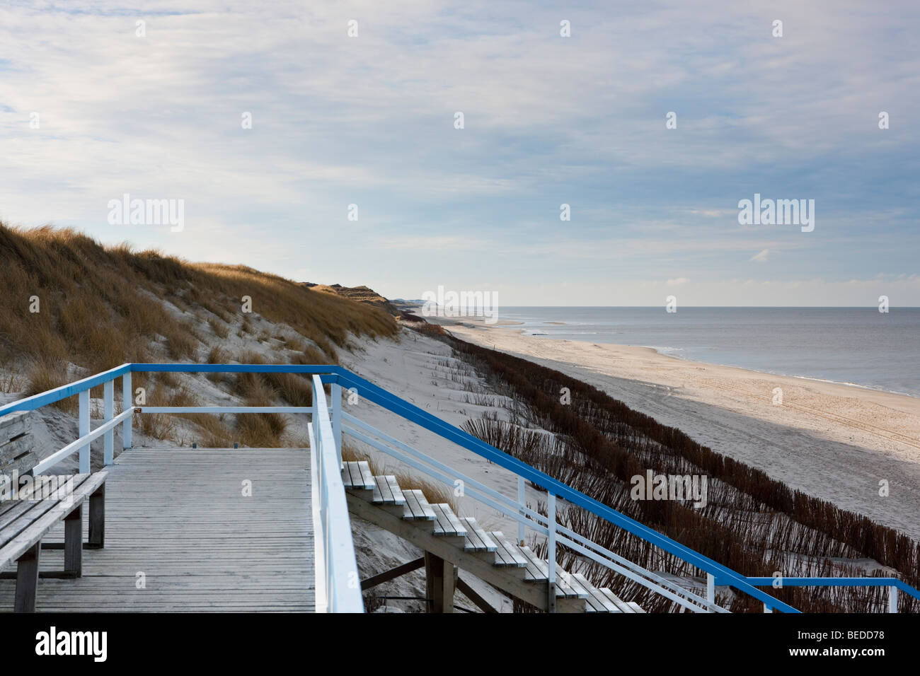 Beach and marram grass, Nationalpark Koenigshafen, Ellenbogen, Sylt ...