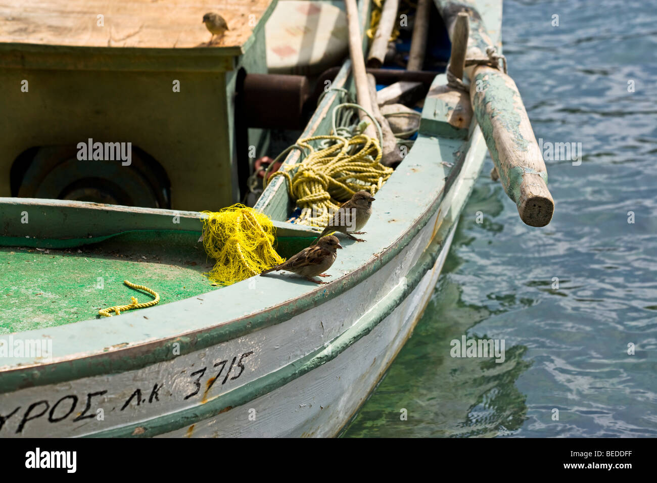 sparrows sitting on greek fisher boat at harbor of Kassiopi, Corfu ...