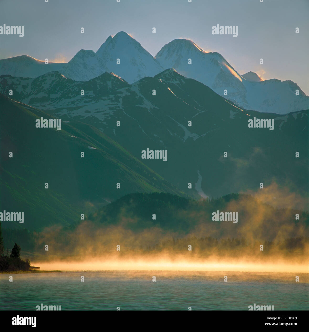 Misty arising on the Yazevoye Lake and Mount Belukha. The Altai ...