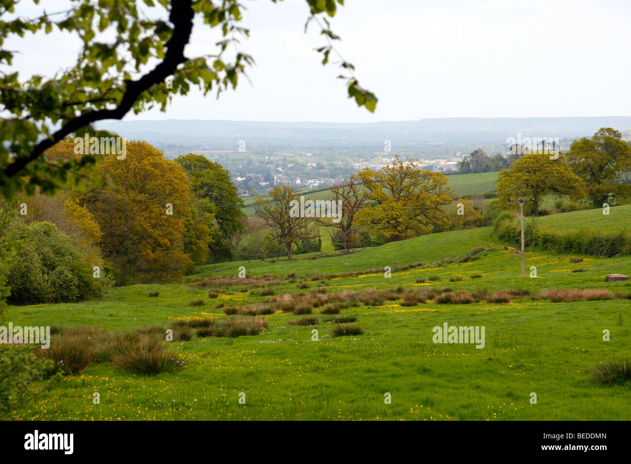 Tiverton devon hi-res stock photography and images - Alamy