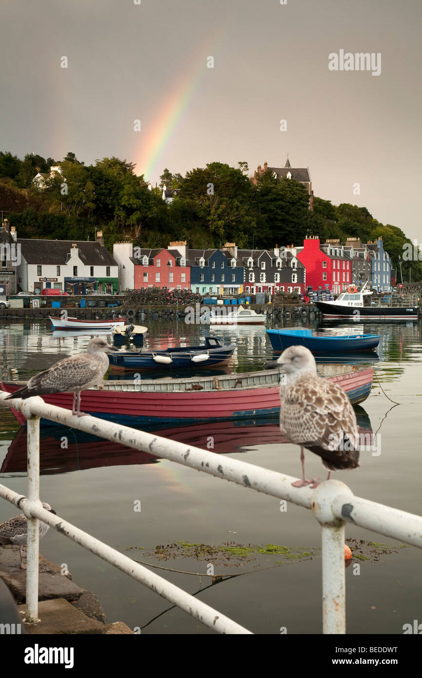 Portree harbour, The Isle of Skye, The Western Isles, Scotland, UK ...