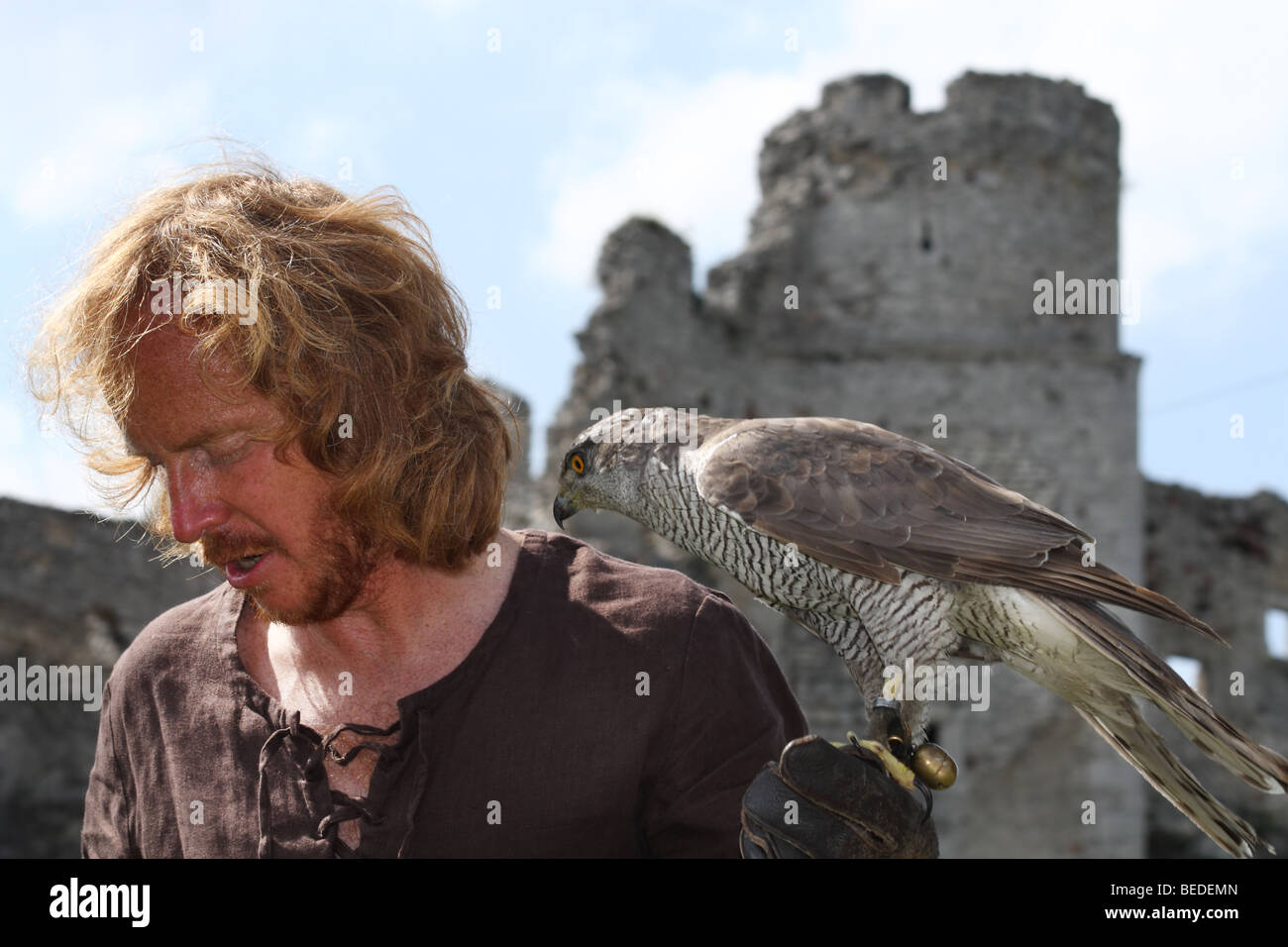 Falconer with Falcon Stock Photo - Alamy