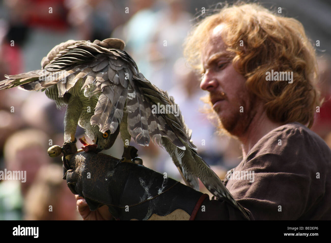 Falconer with Falcon Stock Photo - Alamy