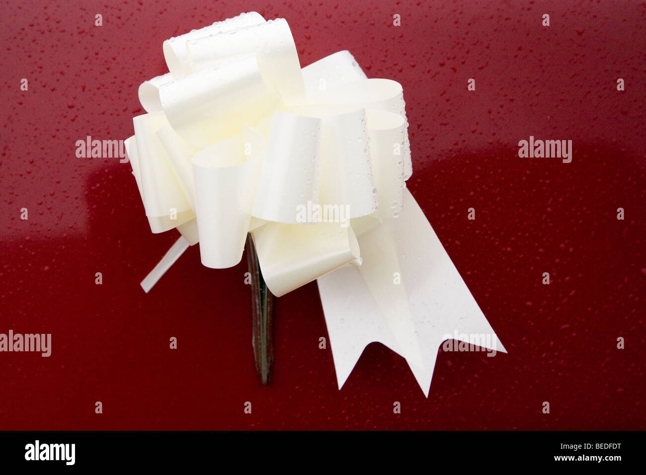 Wedding rosette on the front of a classic wedding car Stock Photo - Alamy