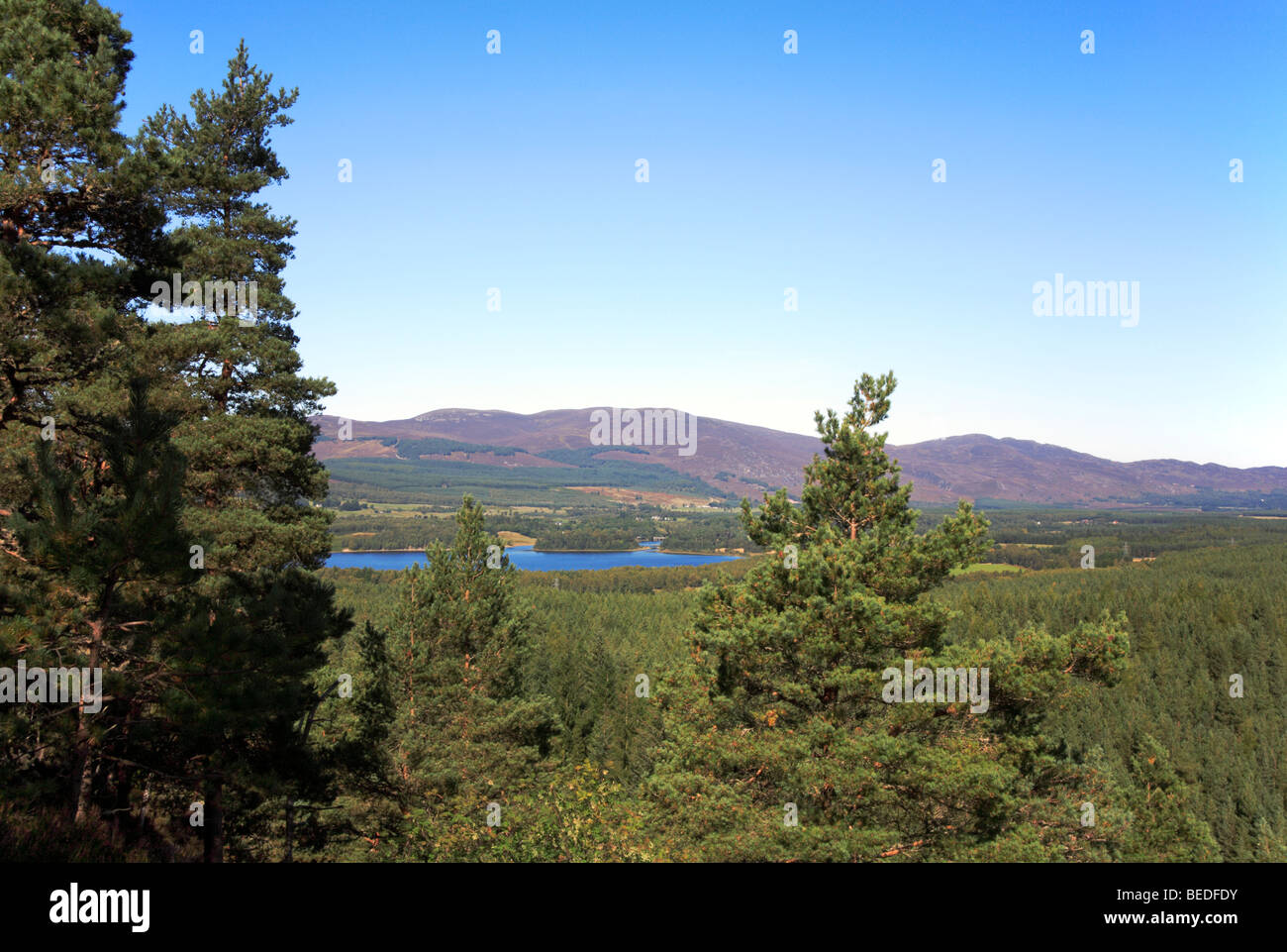 Insh, scotland hi-res stock photography and images - Alamy