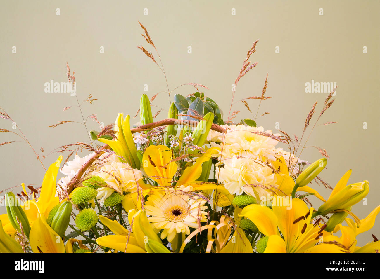 Lemon lilies hi-res stock photography and images - Alamy