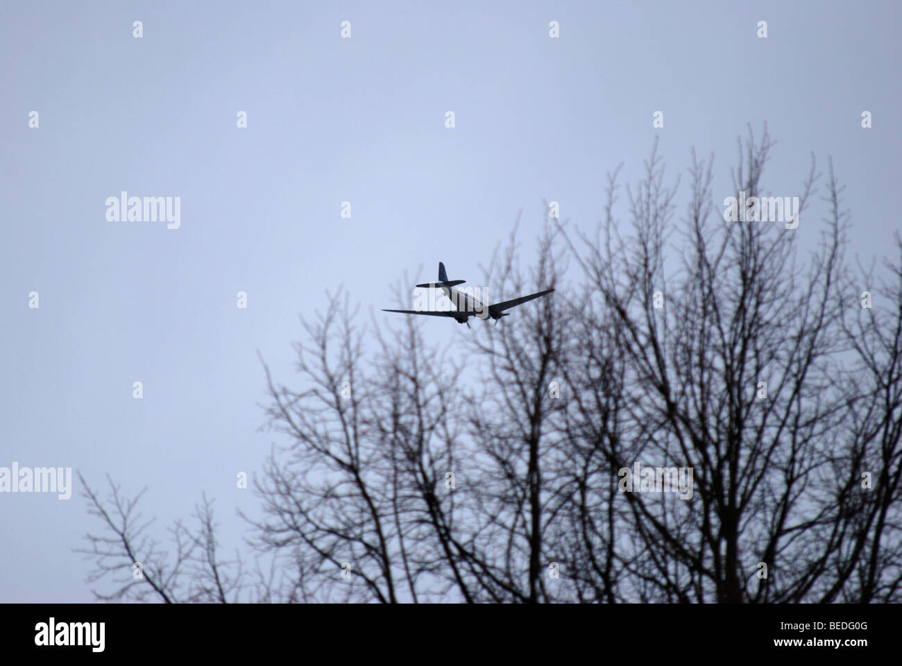 Very old plane trees hi-res stock photography and images - Alamy