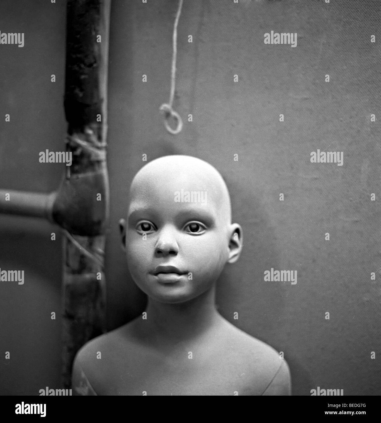 Hairless Bodies High Resolution Stock Photography and Images - Alamy