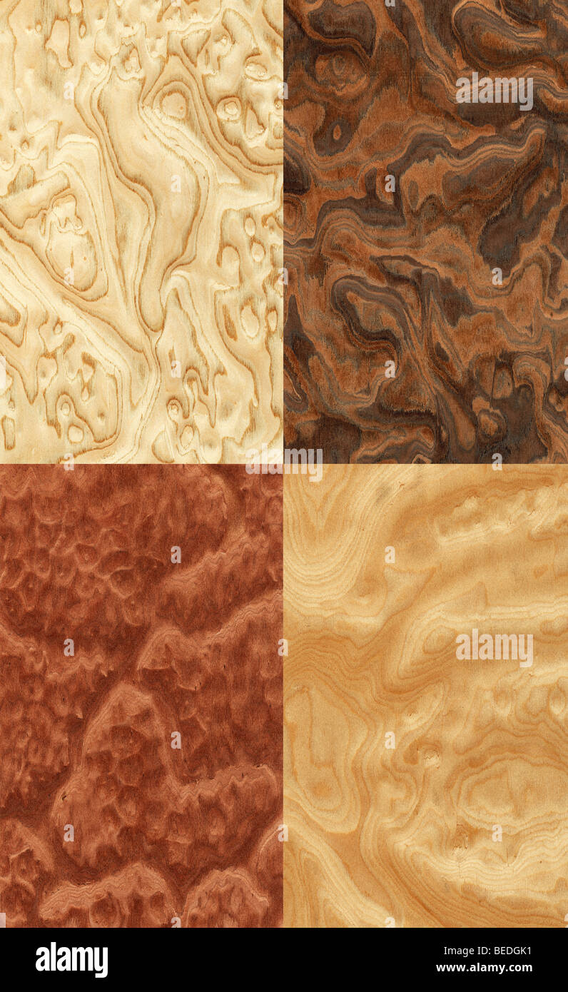 Collage of high-detailed wood textures of root sawing Stock Photo - Alamy