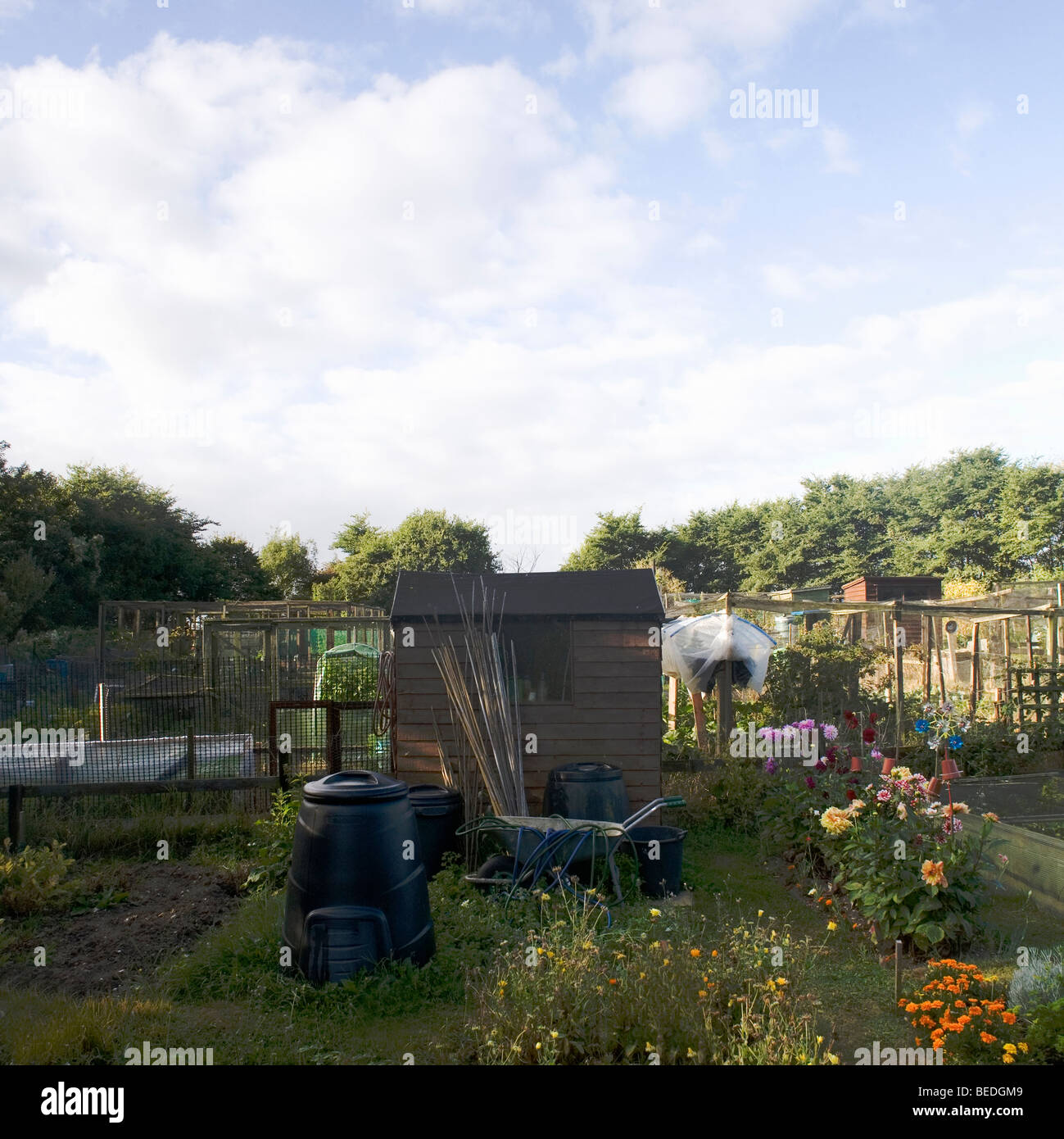 A British allotment for growing fruit, vegetables and flowers Stock ...