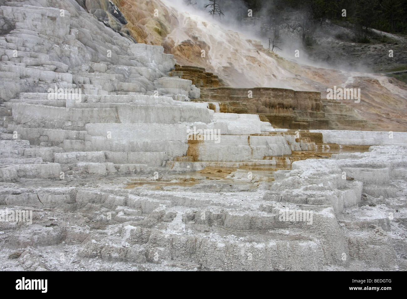 Travertine terraces, Mammoth Hot Springs, Yellowstone National Park ...