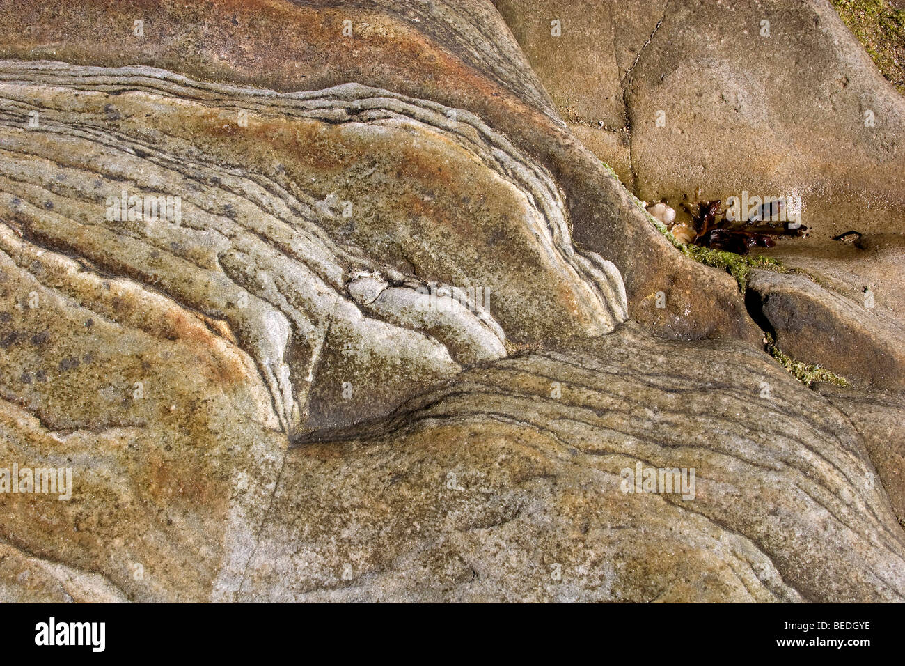 Sandstone rock formations in Northumberland UK Stock Photo - Alamy