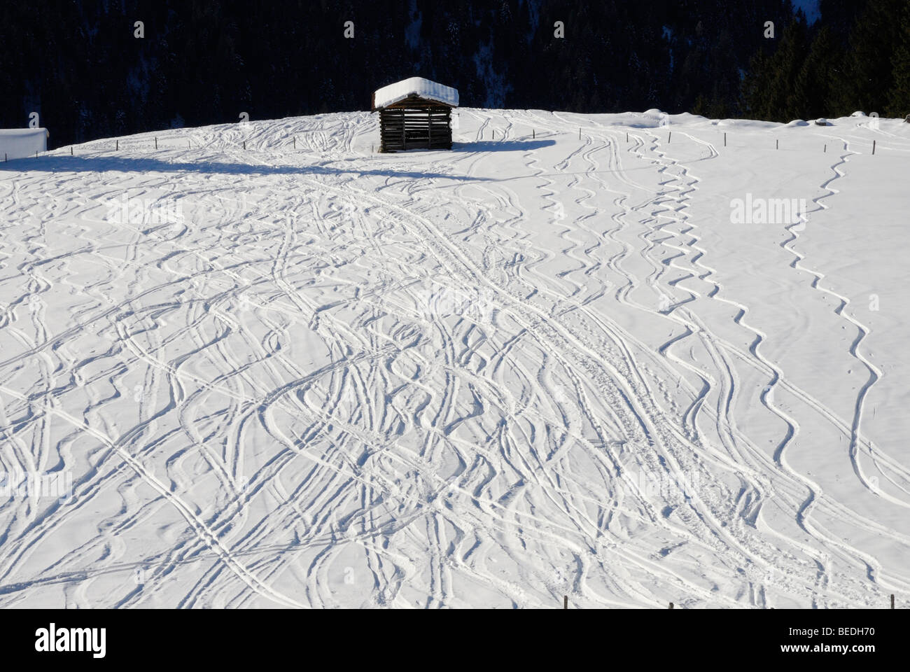 Skiing trails in deep powder snow, wooden hut, Wildschoenau, Tyrol ...