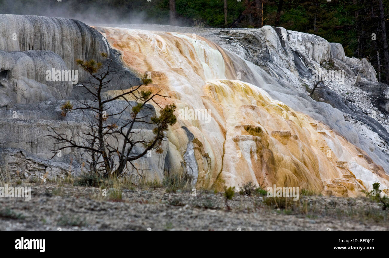 Travertine terraces hi-res stock photography and images - Alamy