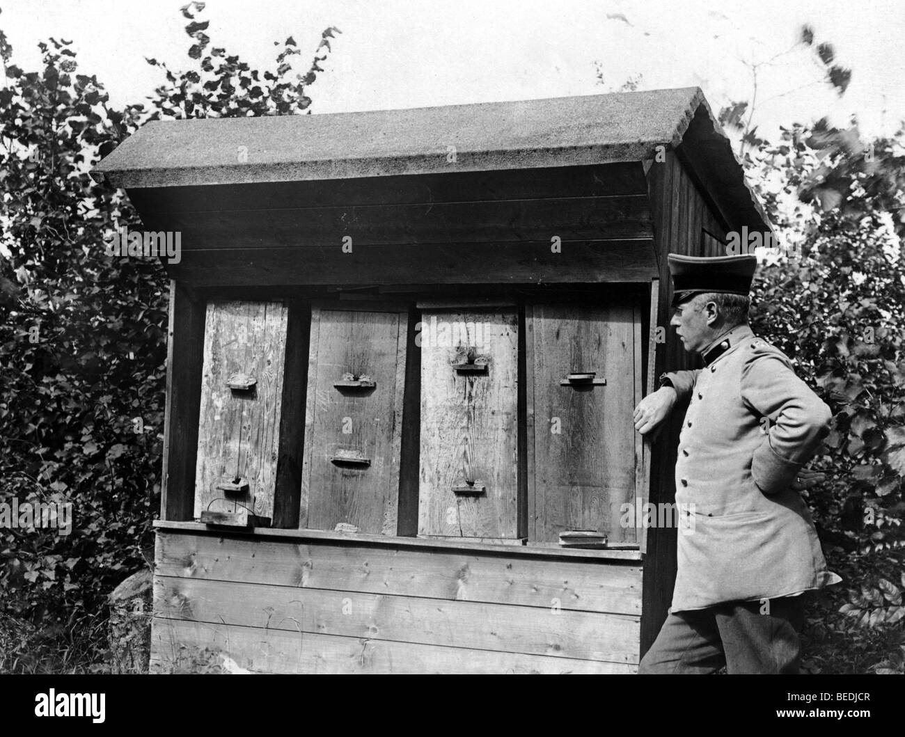 Bee keepers photographs hi-res stock photography and images - Alamy