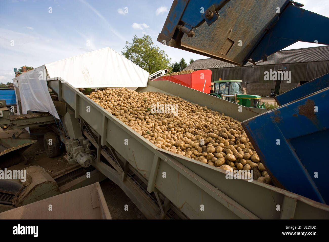 Grading Potatoes In Lincolnshire Stock Photo - Alamy