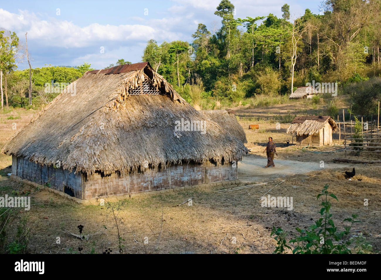 Farmhouse, North-Andaman, Andaman Islands, India, South Asia Stock ...