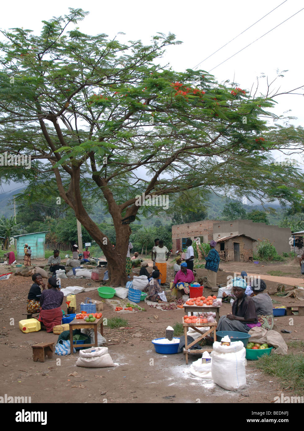Bakonzo village market, Rwenzori Mountains, West Uganda, Africa Stock ...